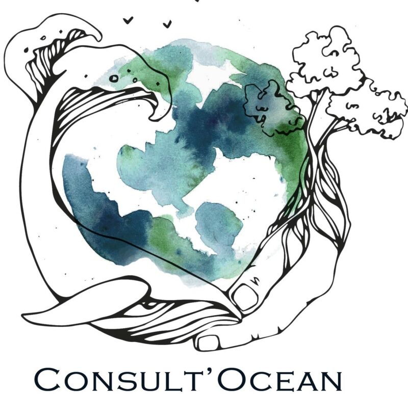 Sarah Lelong, Consult’Ocean, est intervenue lors d'une table ronde aux ...