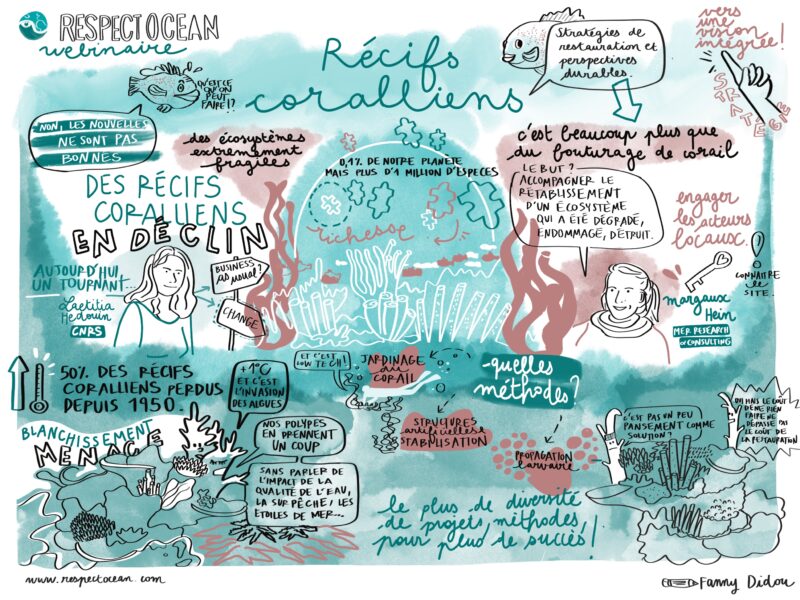 Cliquez sur l'image pour l'agrandir