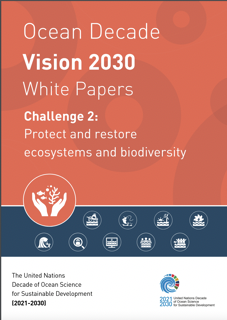 Ocean Decade, Vision 2030, White Papers Challenge 2