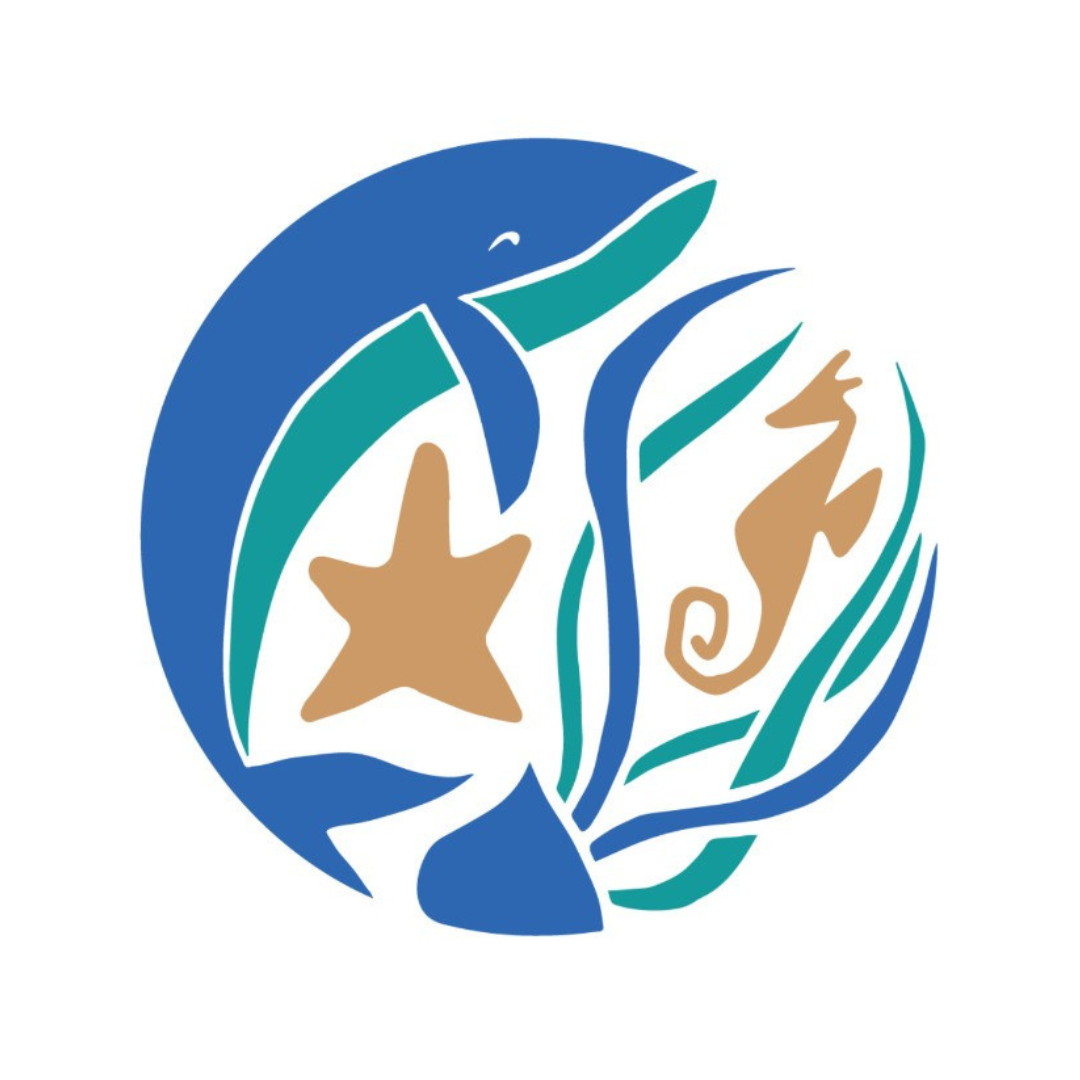 Instagram-Divers-2024-10-29T094614.777.png