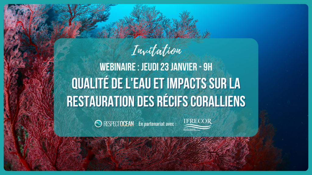 LinkedIn-Invitations-Webinaire-48-1024x576.png